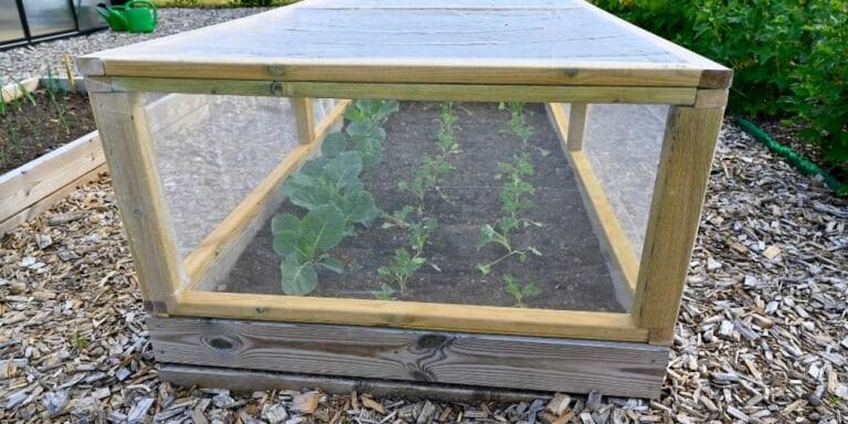 Essential Tips to Shield Your Plants During Winter